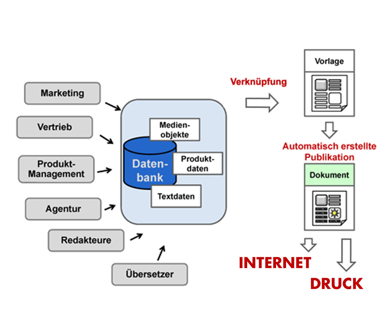 DATABASE PUBLISHING - Schoellmann & Sie Marketing GmbH